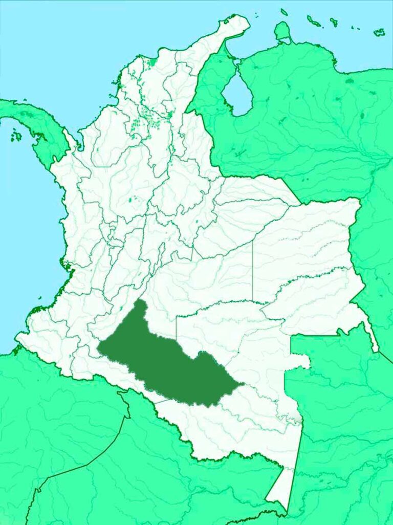 Departamento del Caquetá - Revista El Rincón Colombiano