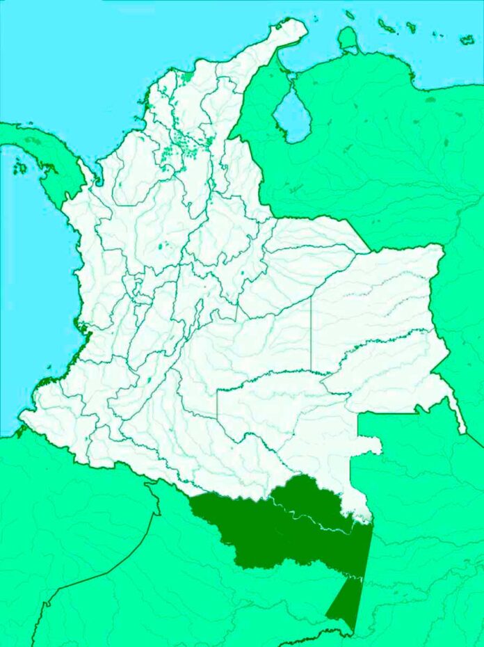 Departamento del Amazonas - El Rincón Colombiano Departamento del Amazonas - El Rincón Colombiano